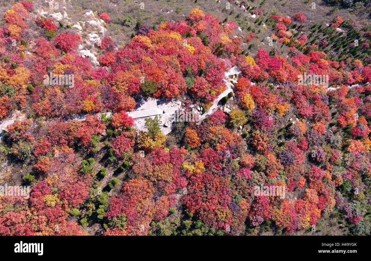 Zhangqiu hi-res stock photography and images - Alamy