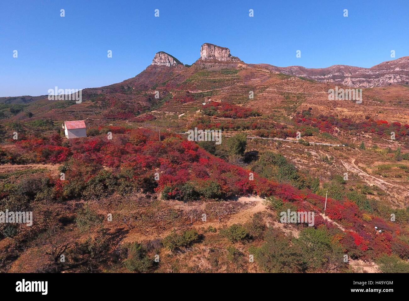 Zhangqiu hi-res stock photography and images - Alamy