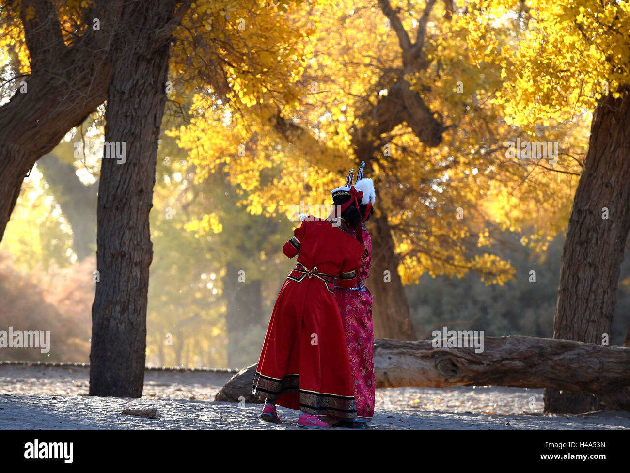 Ejin desert hi-res stock photography and images - Alamy
