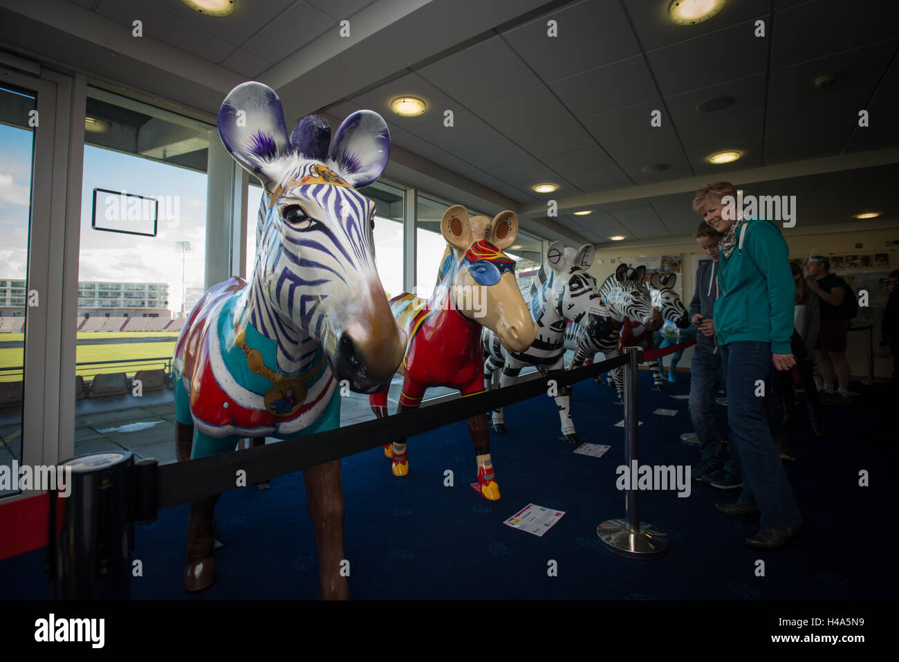 Brightly coloured hand decorated and painted life-sized zebra ...