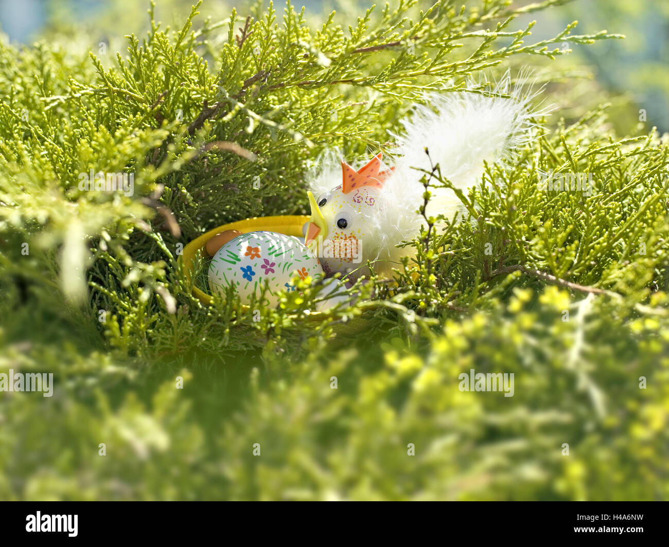 Easter shrub hi-res stock photography and images - Alamy