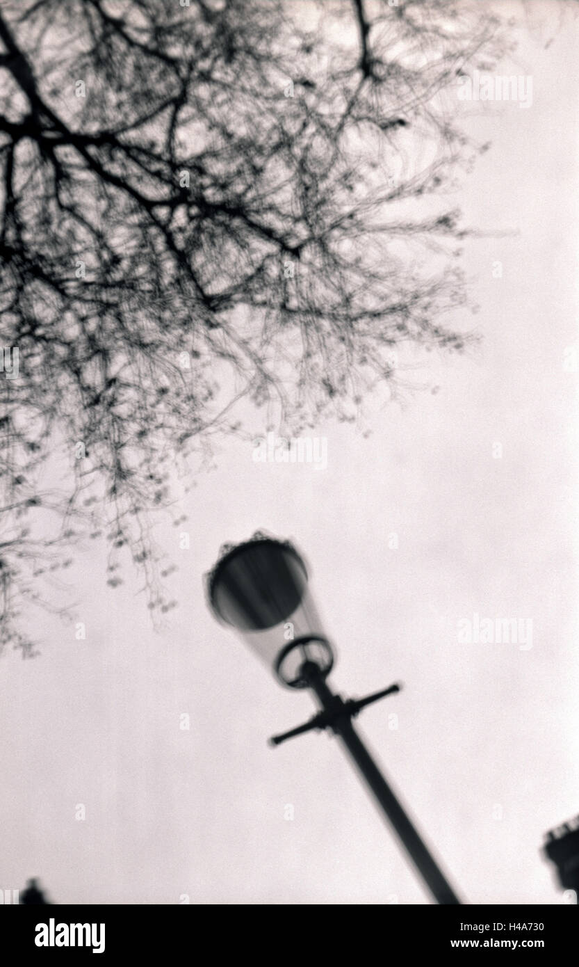 tree, treetop, street light, motion, b / w Stock Photo - Alamy