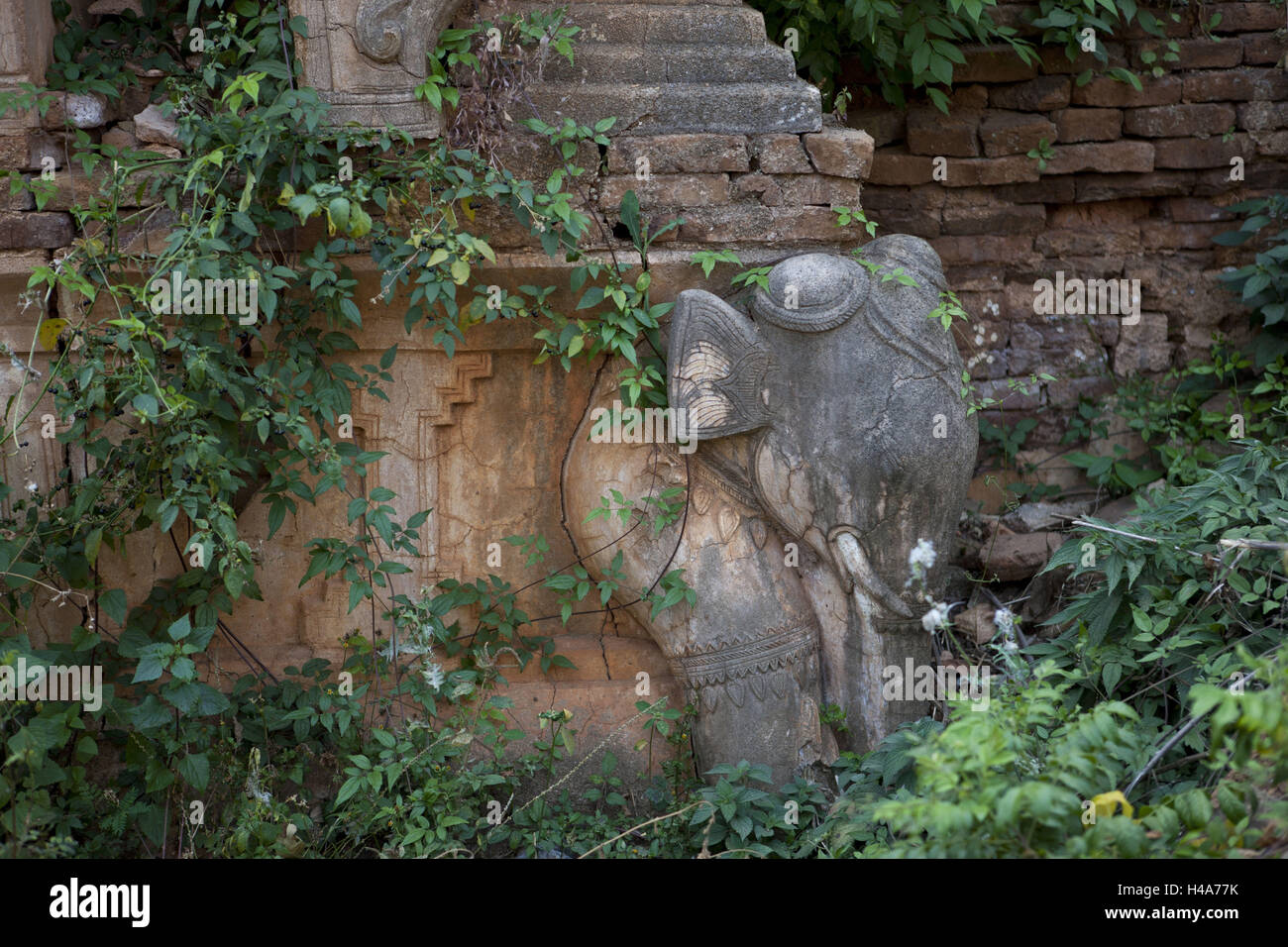 Myanmar, Shan state, region Inle lake, Samkar region, Alaung Sitthou ...