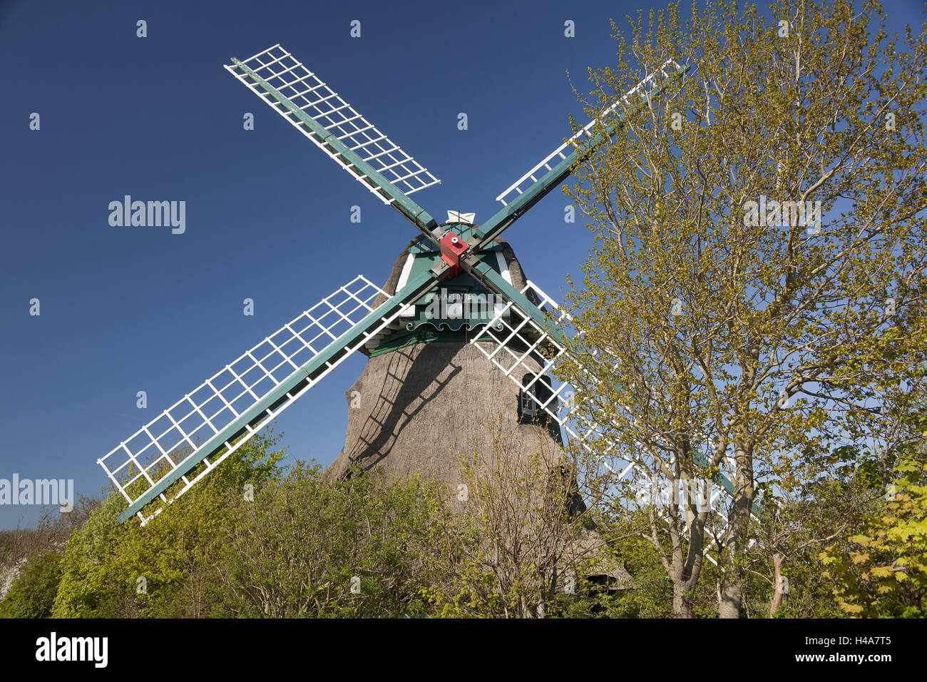 Germany, Schleswig - Holstein, Geltinger Birk, windmill Charlotte ...