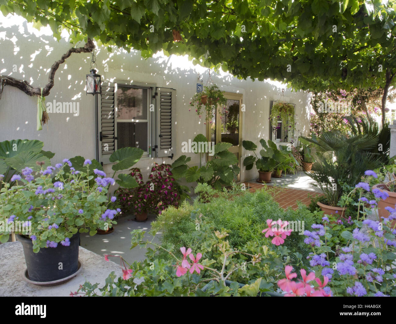 Veli flower garden hi-res stock photography and images - Alamy