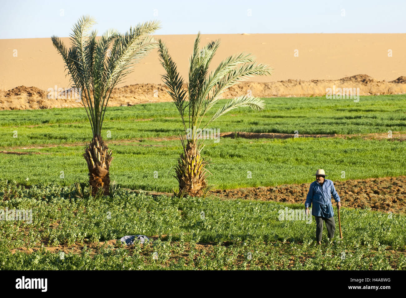 Edge of desert hi-res stock photography and images - Alamy