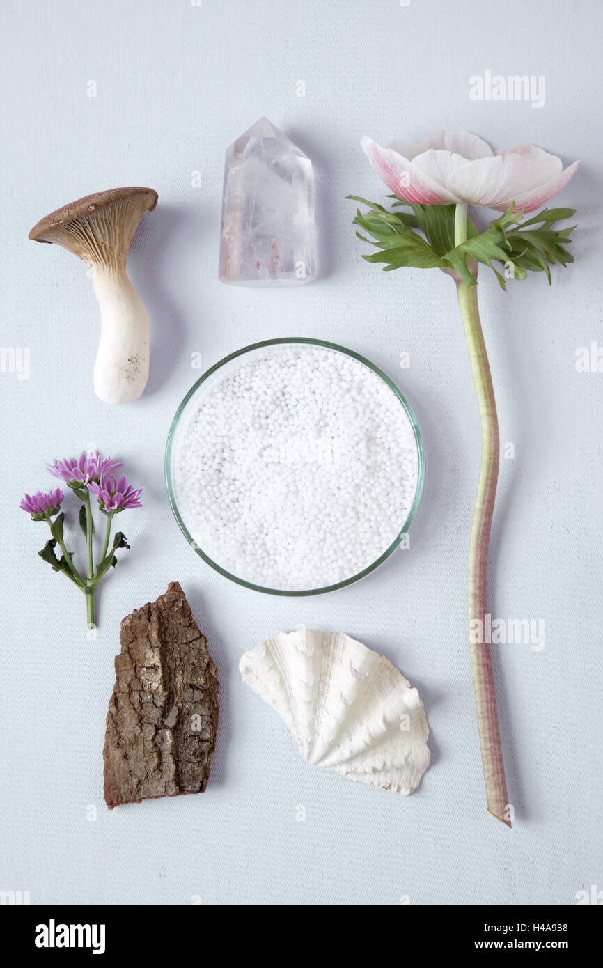 Medicine, alternative cure, nature drug Stock Photo - Alamy