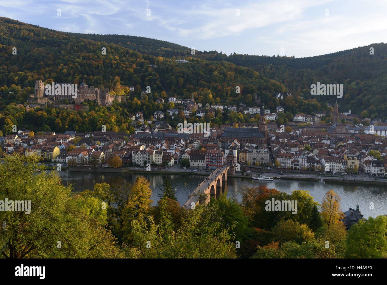 Heidelberg, cityscape with castle, the Neckar, old bridge, as seen from ...