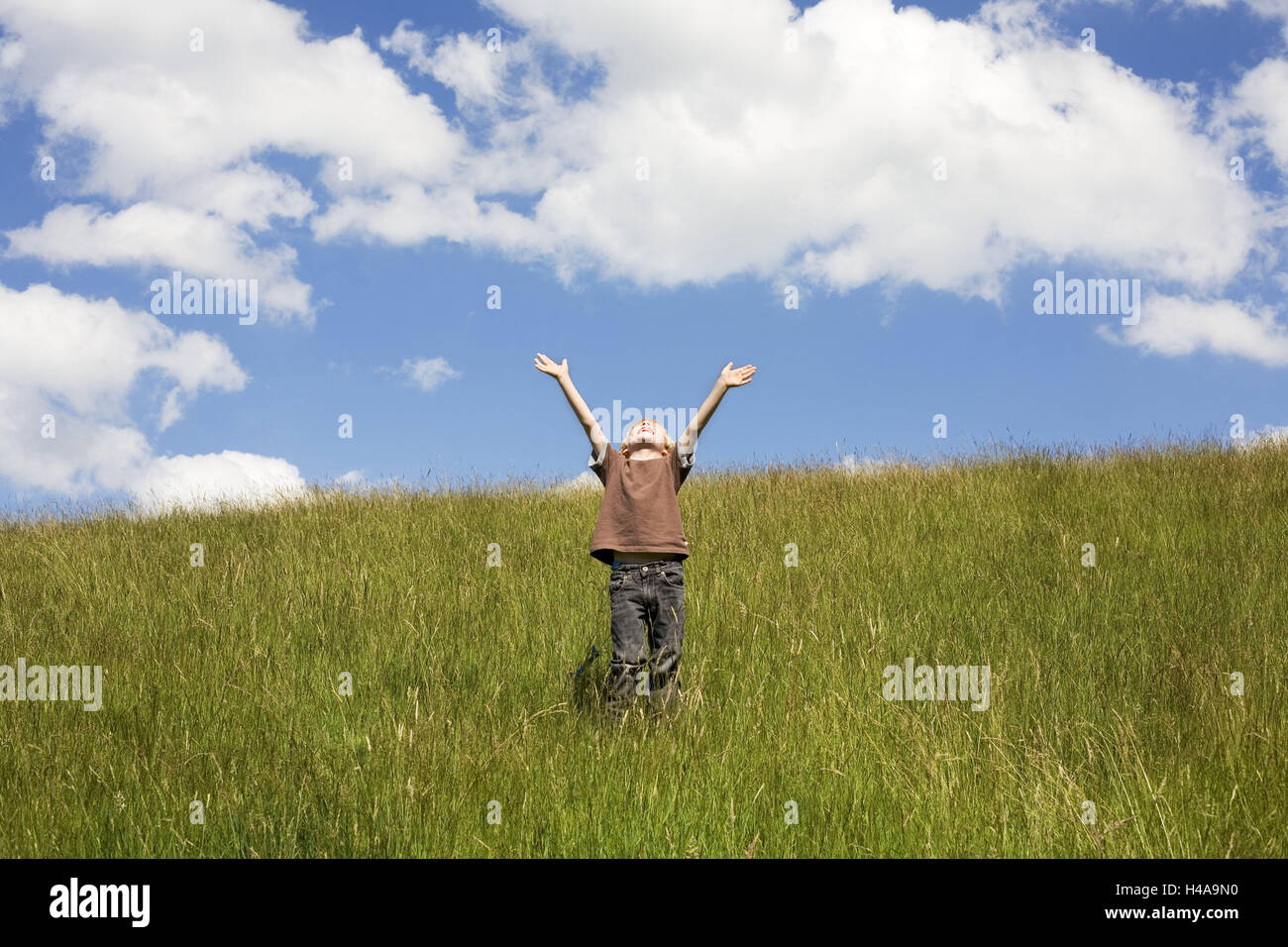 Meadow, boy, melted, arms, spread, stand, people, child, childhood ...