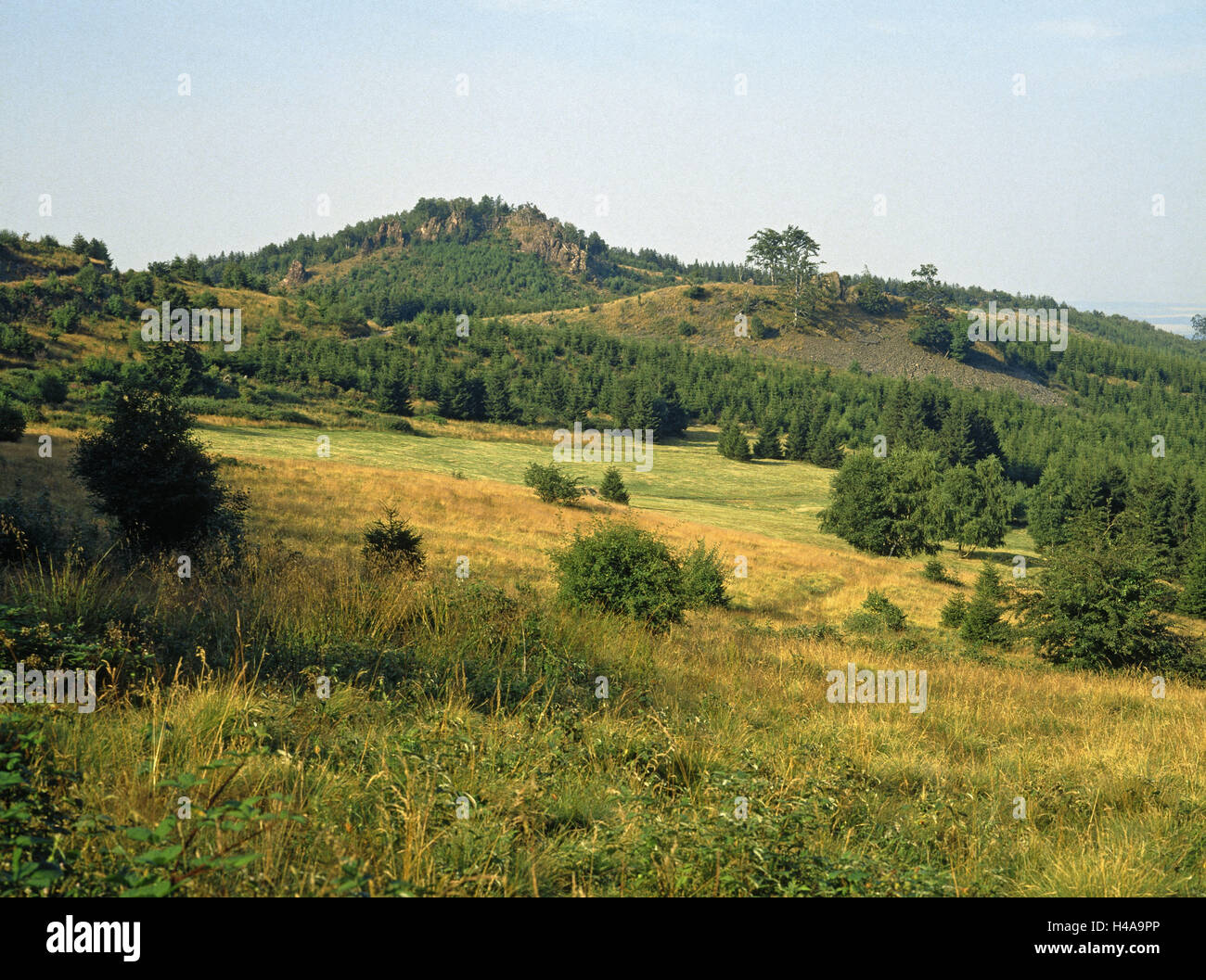 Germany, Thuringia, Tabarz, Thuringian wood, Red's mountain pasture ...