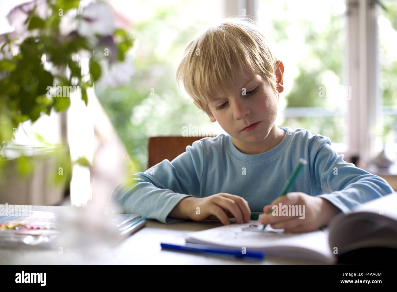 Boy, coloring book, painting, portrait, people, child, childhood ...