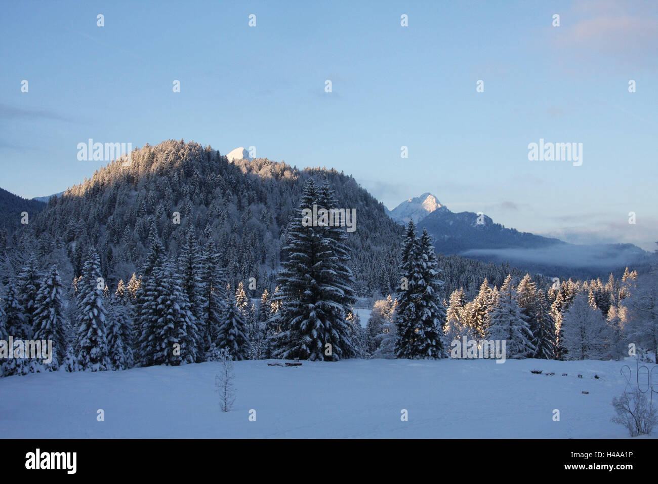 Germany, Upper Bavaria, Elmau, mountain landscape, morning mood, winter ...