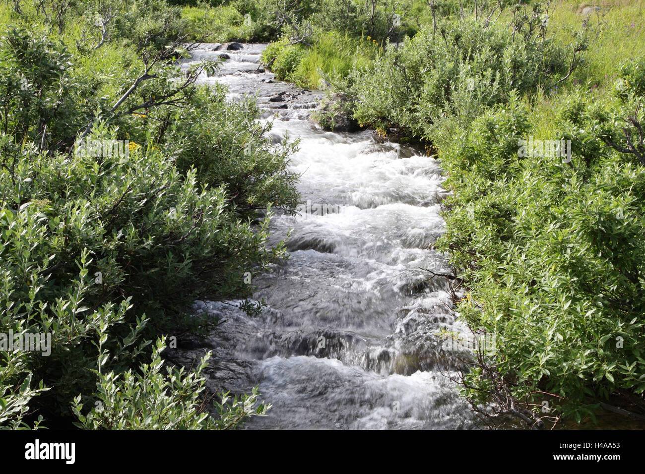 Alaska, scenery, nature, brook Stock Photo - Alamy