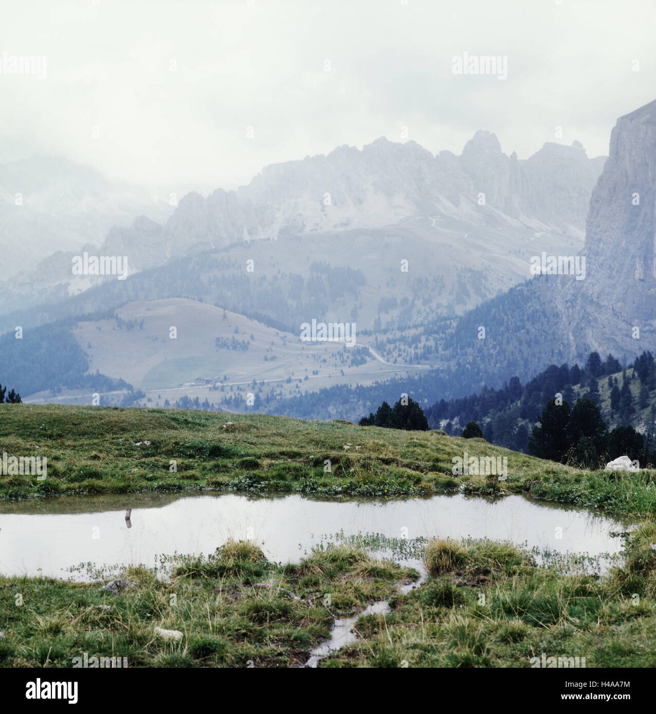 Italy, South Tirol, Sellajoch (ridge), puddle, view, the Dolomites ...