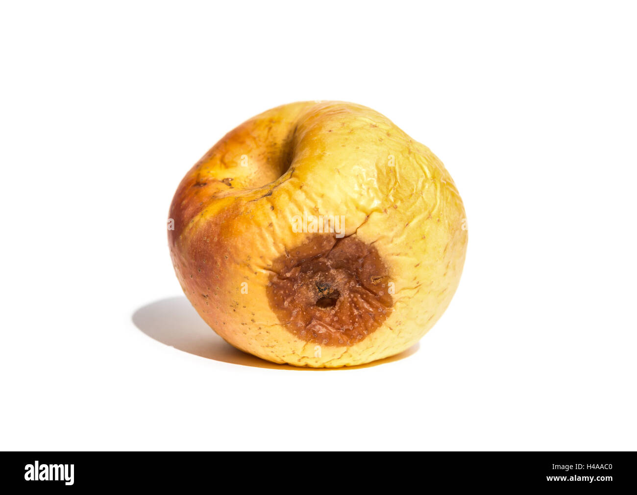 rotten apple on white background Stock Photo - Alamy