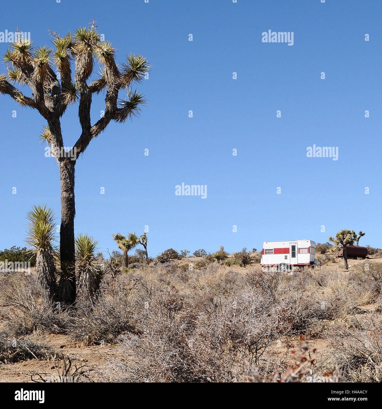 Desert caravan hi-res stock photography and images - Alamy