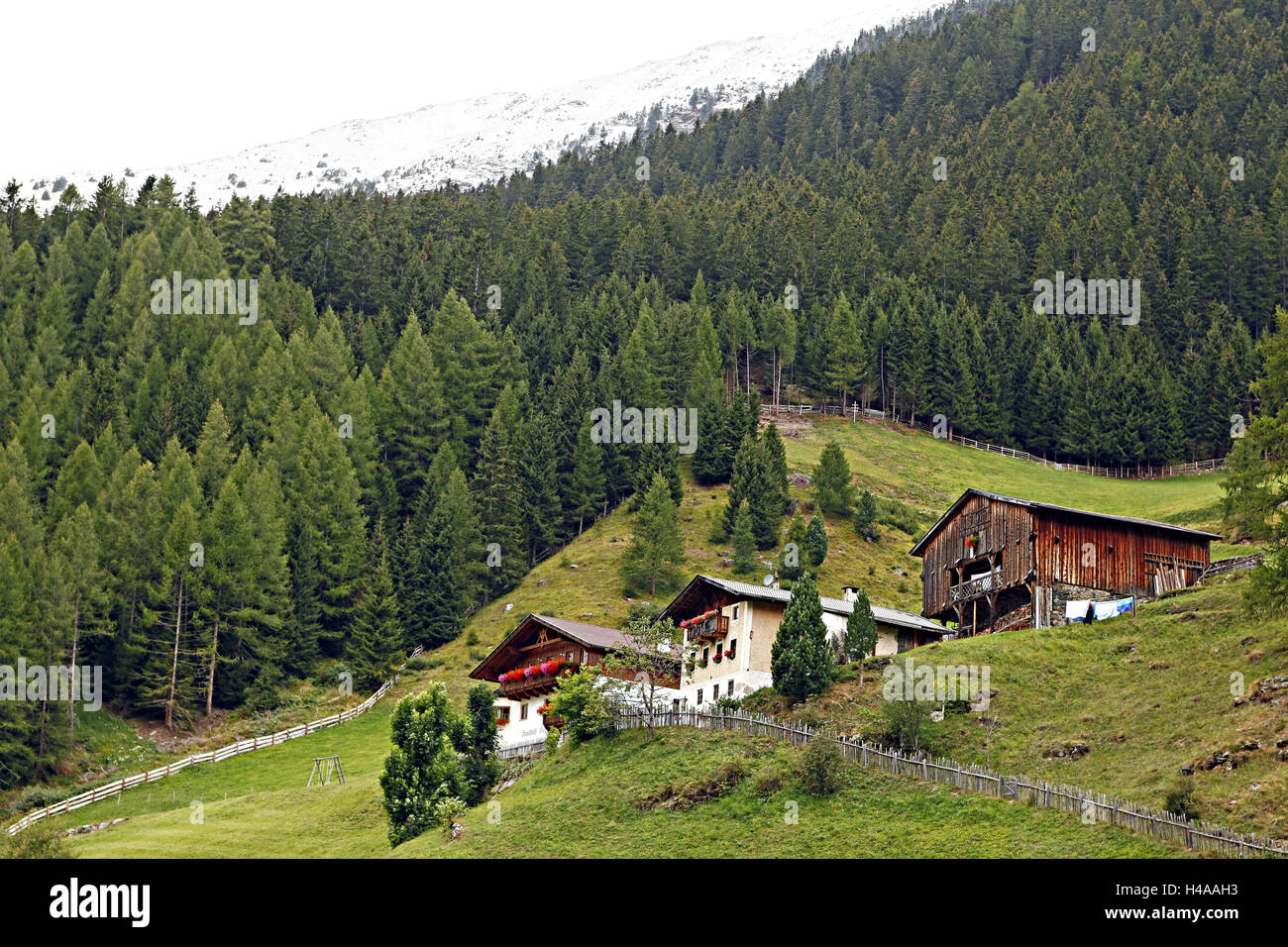 Mountain farm in the Pensertal South Tirol Stock Photo - Alamy