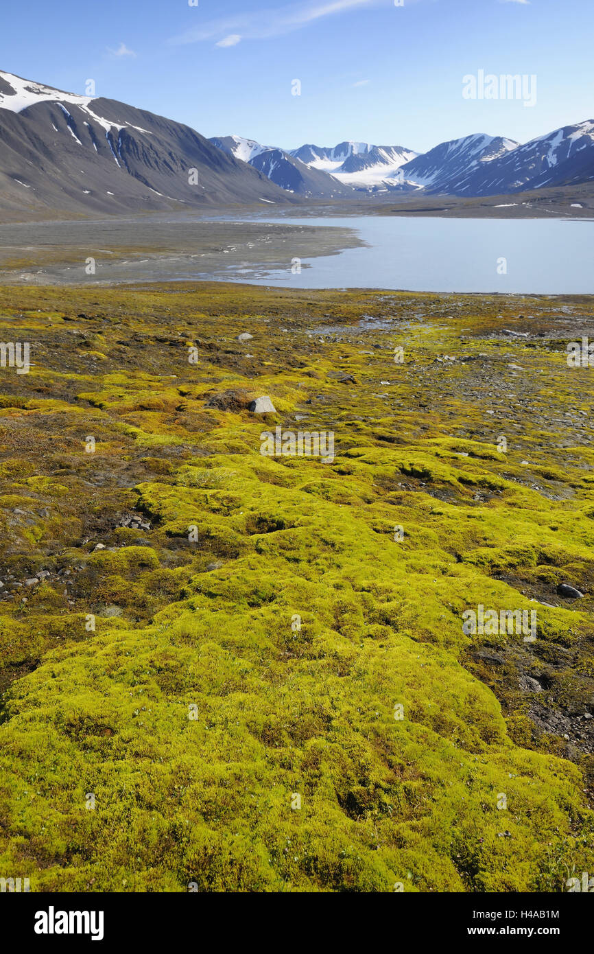 The Arctic, scenery, summer, Mushamna, Woodfjorden, Svalbard ...