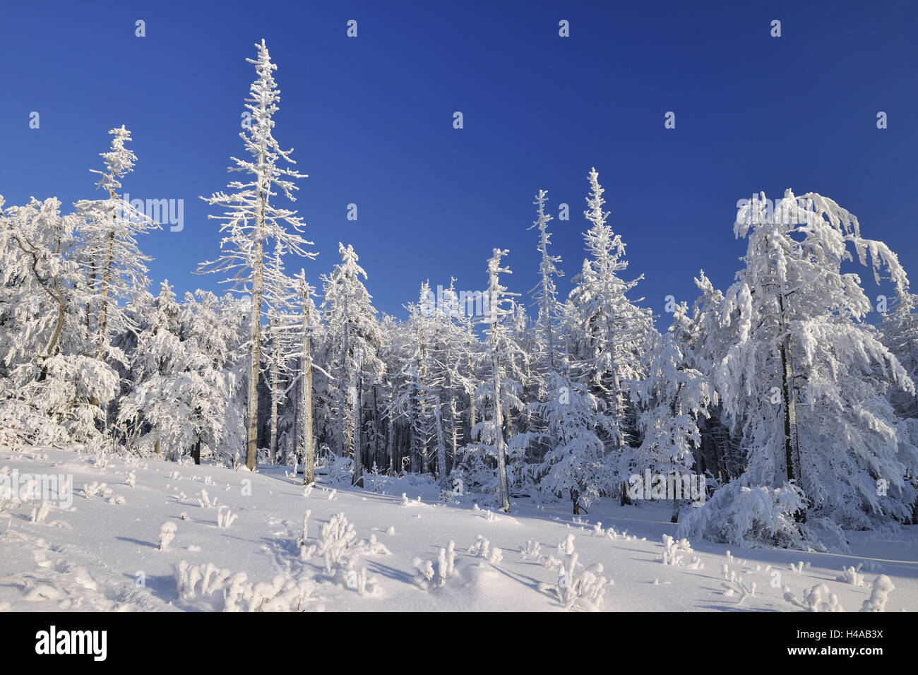 Brotterode hi-res stock photography and images - Alamy