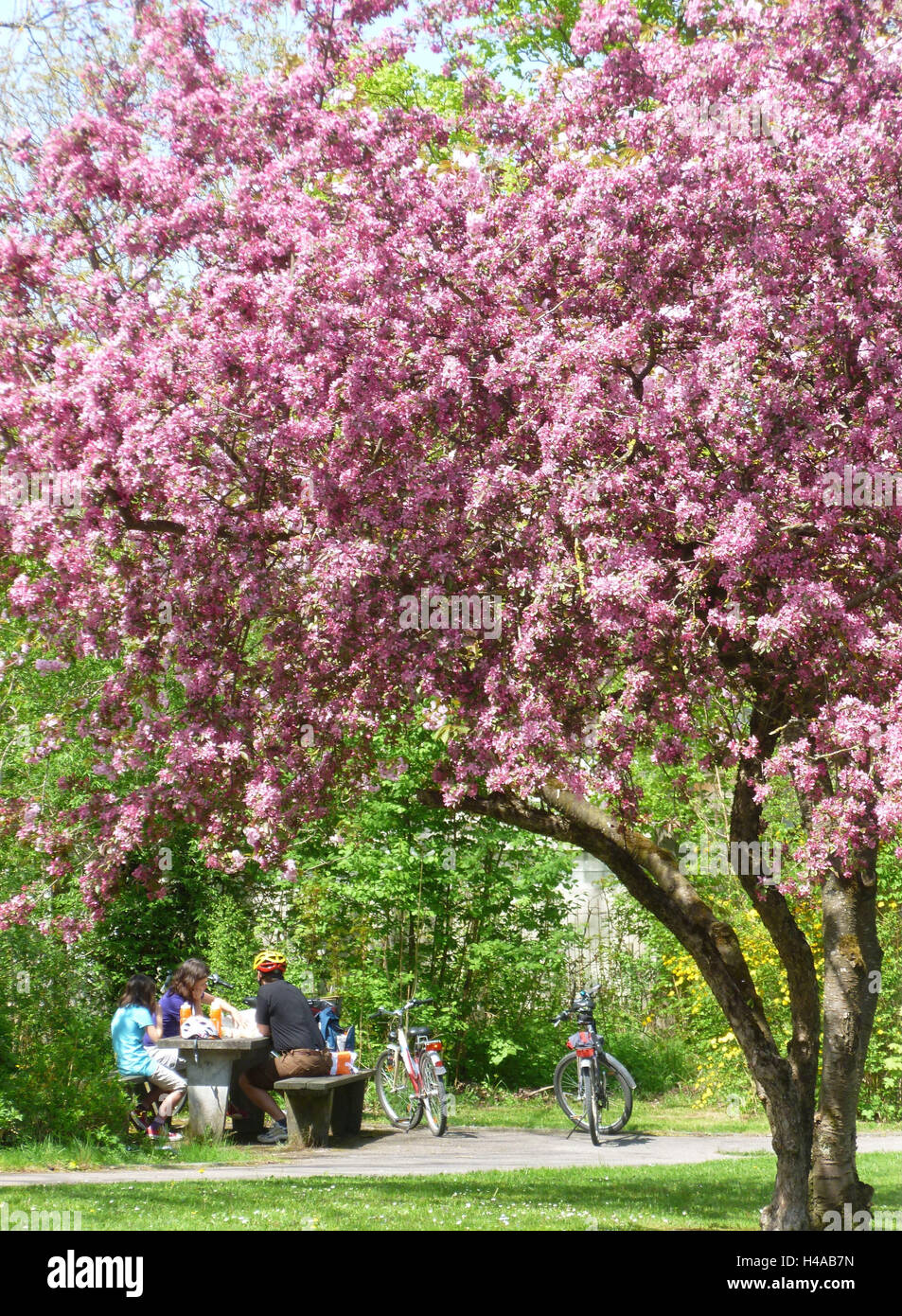 Red cycle track hi-res stock photography and images - Alamy