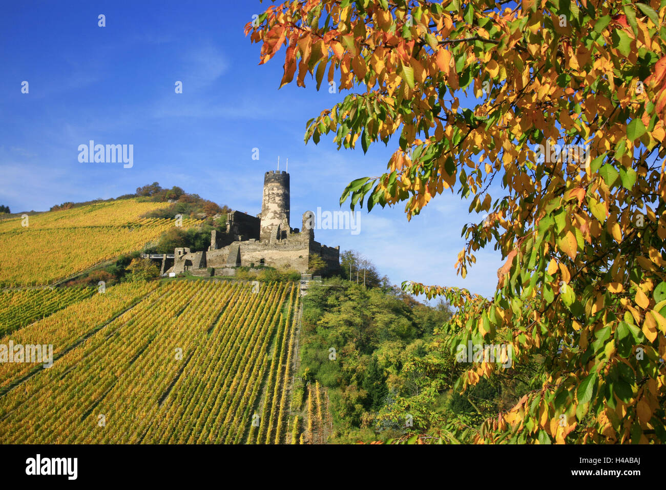 Furstenberg castle hi-res stock photography and images - Alamy