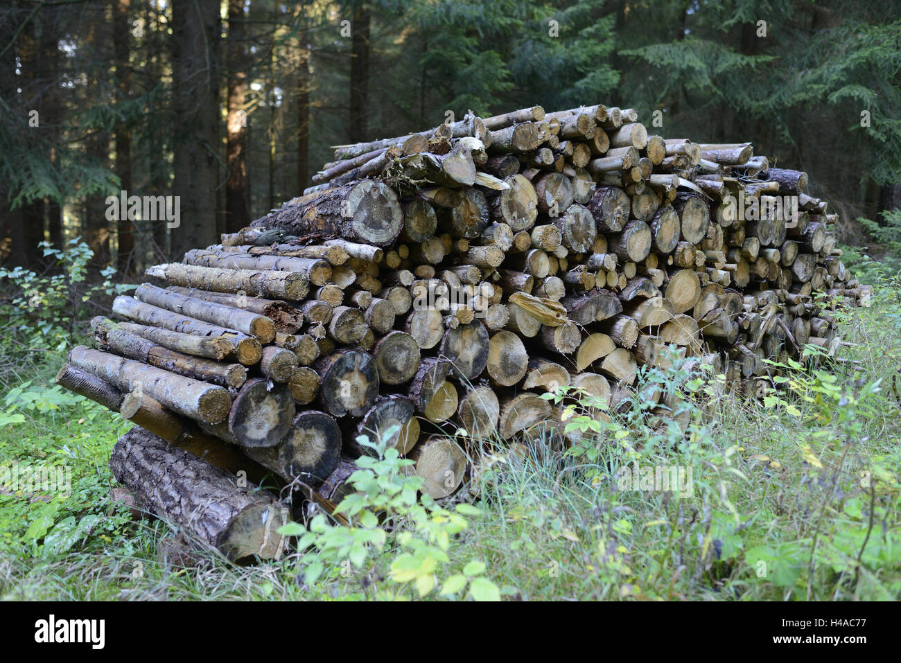 Wooden strains hi-res stock photography and images - Alamy