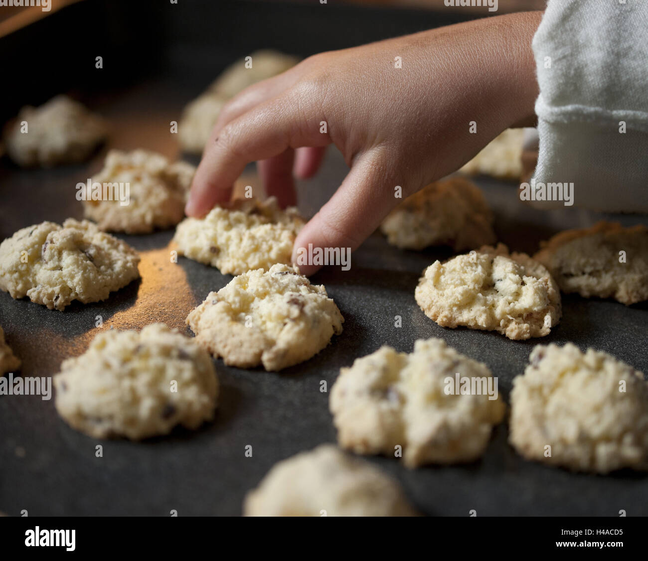 Child, little place, eat, nibble, medium close-up, detail Stock Photo ...