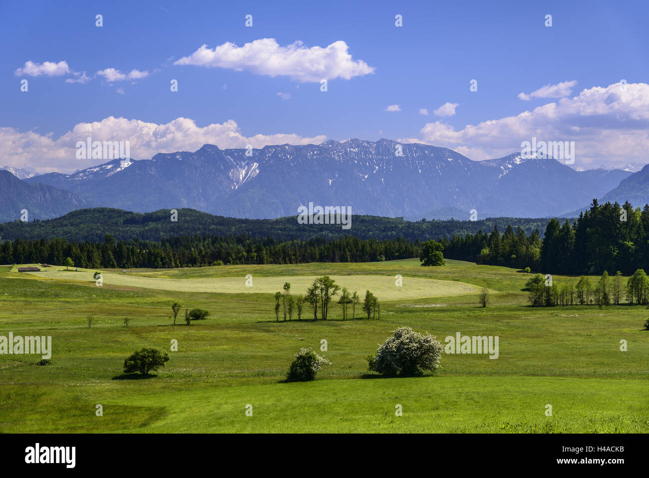 Germany, Bavaria, Upper Bavaria, Pfaffenwinkel, Uffing at lake ...