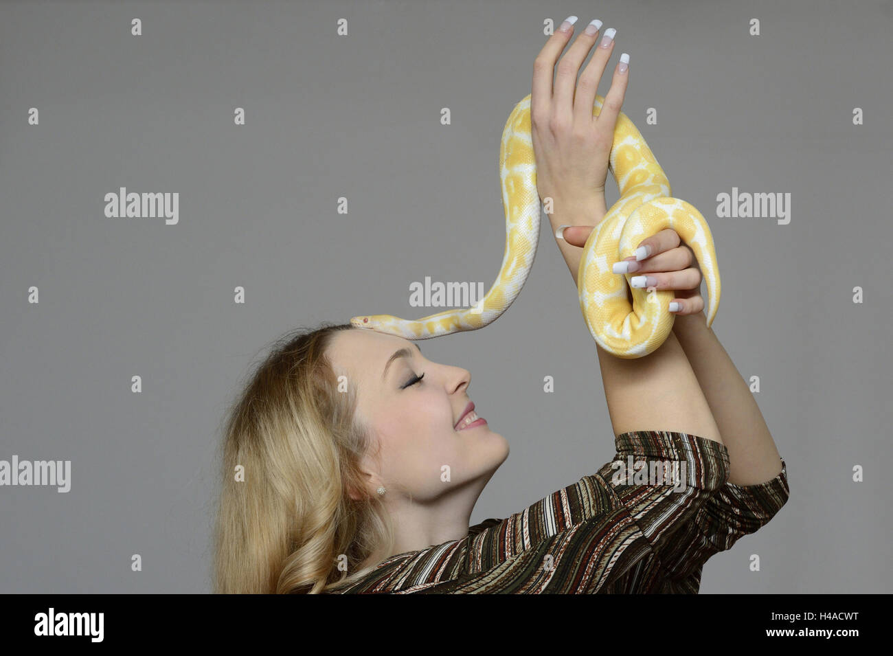 Young woman, tiger's python, python molurus, albino, hold, smile ...