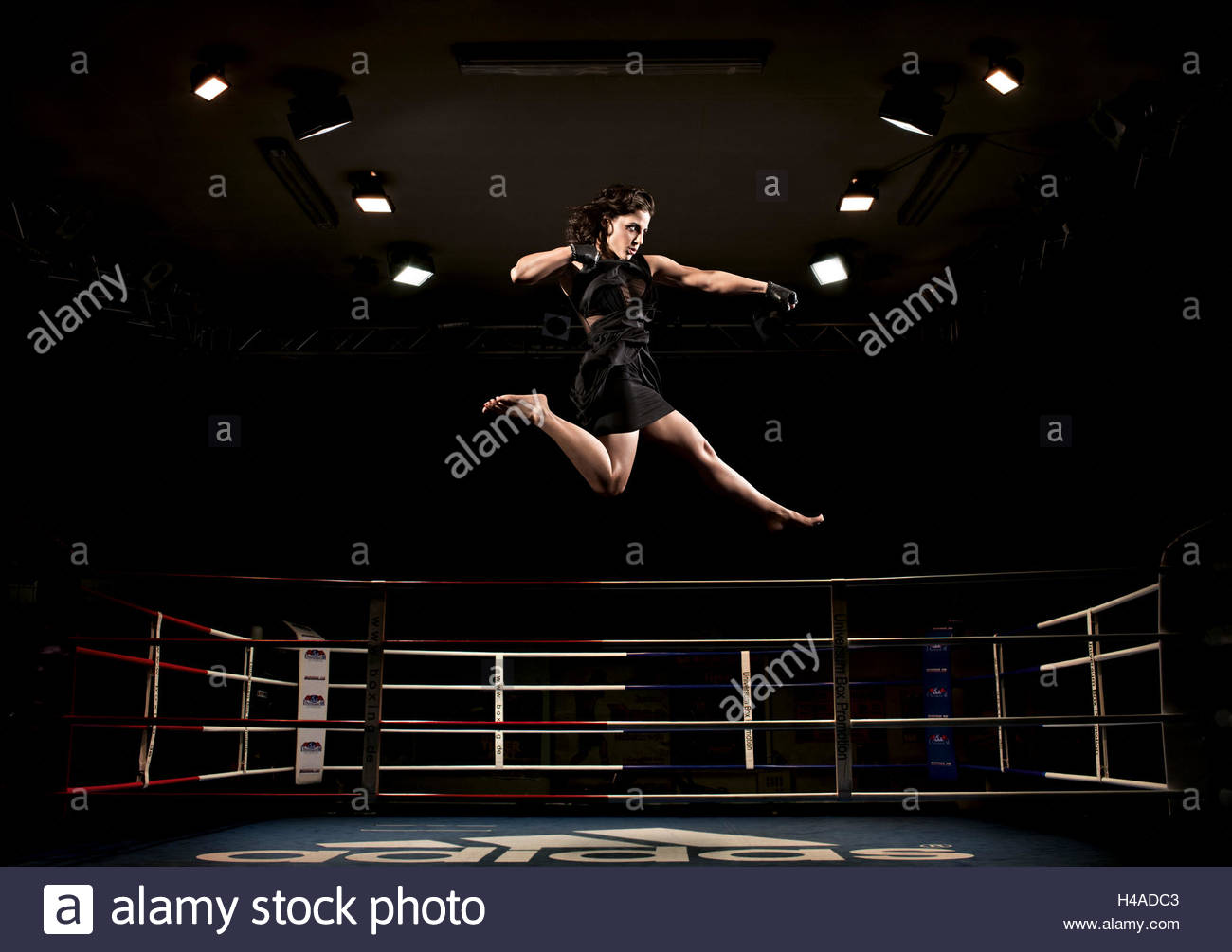 World Boxing Organization Stock Photos & World Boxing Organization ...