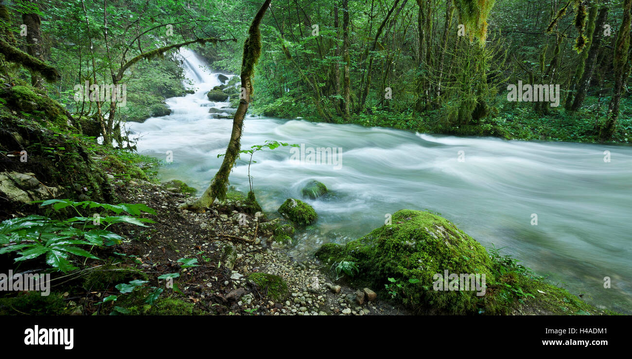 France, Jura, mountains, Cascades you Flumen, National Park Stock Photo ...