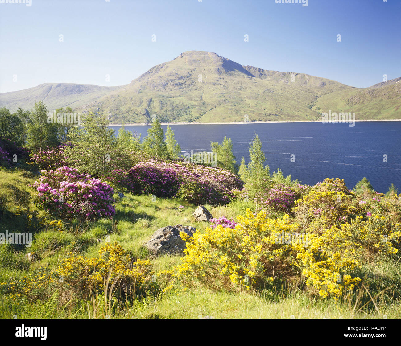 Hole quoich hi-res stock photography and images - Alamy
