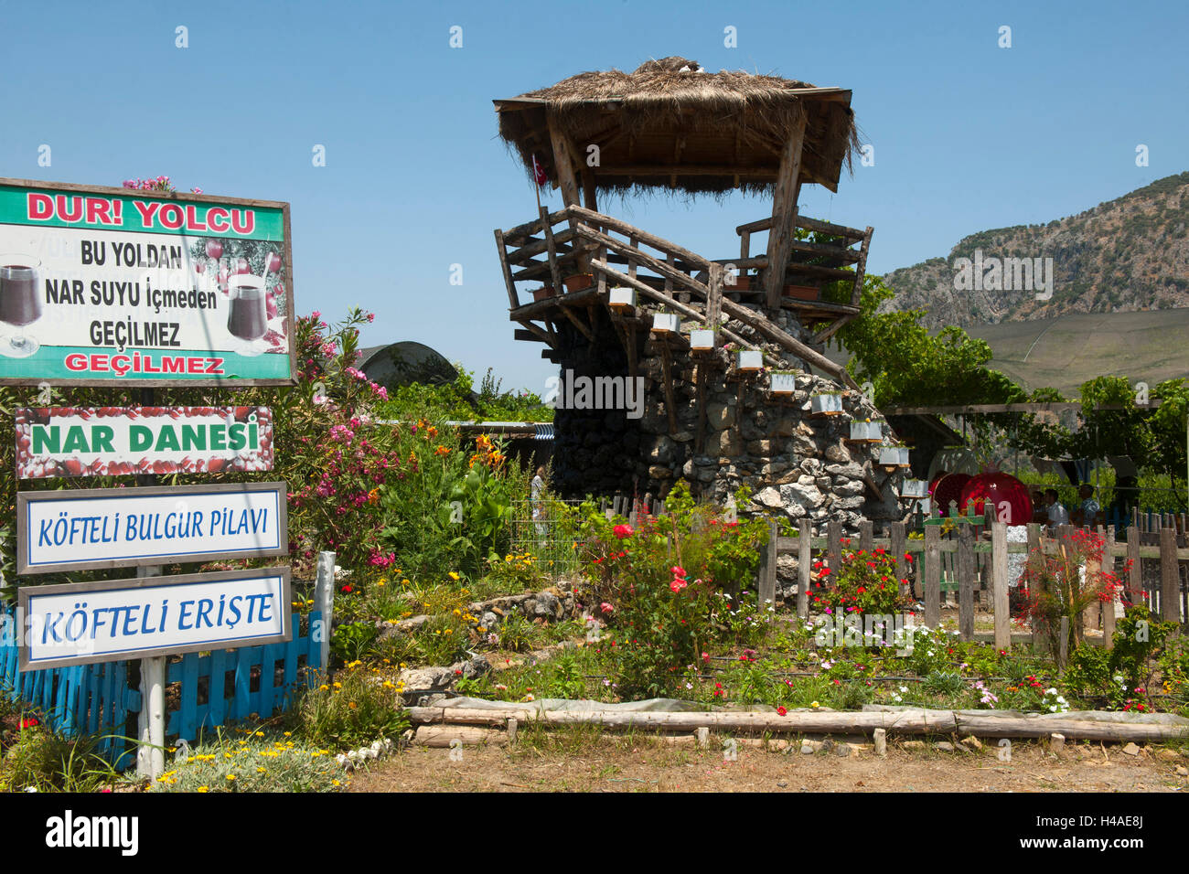 Turkey, province of Mugla, Dalyan, bar Nar Danesi, in the Iztuzu ...
