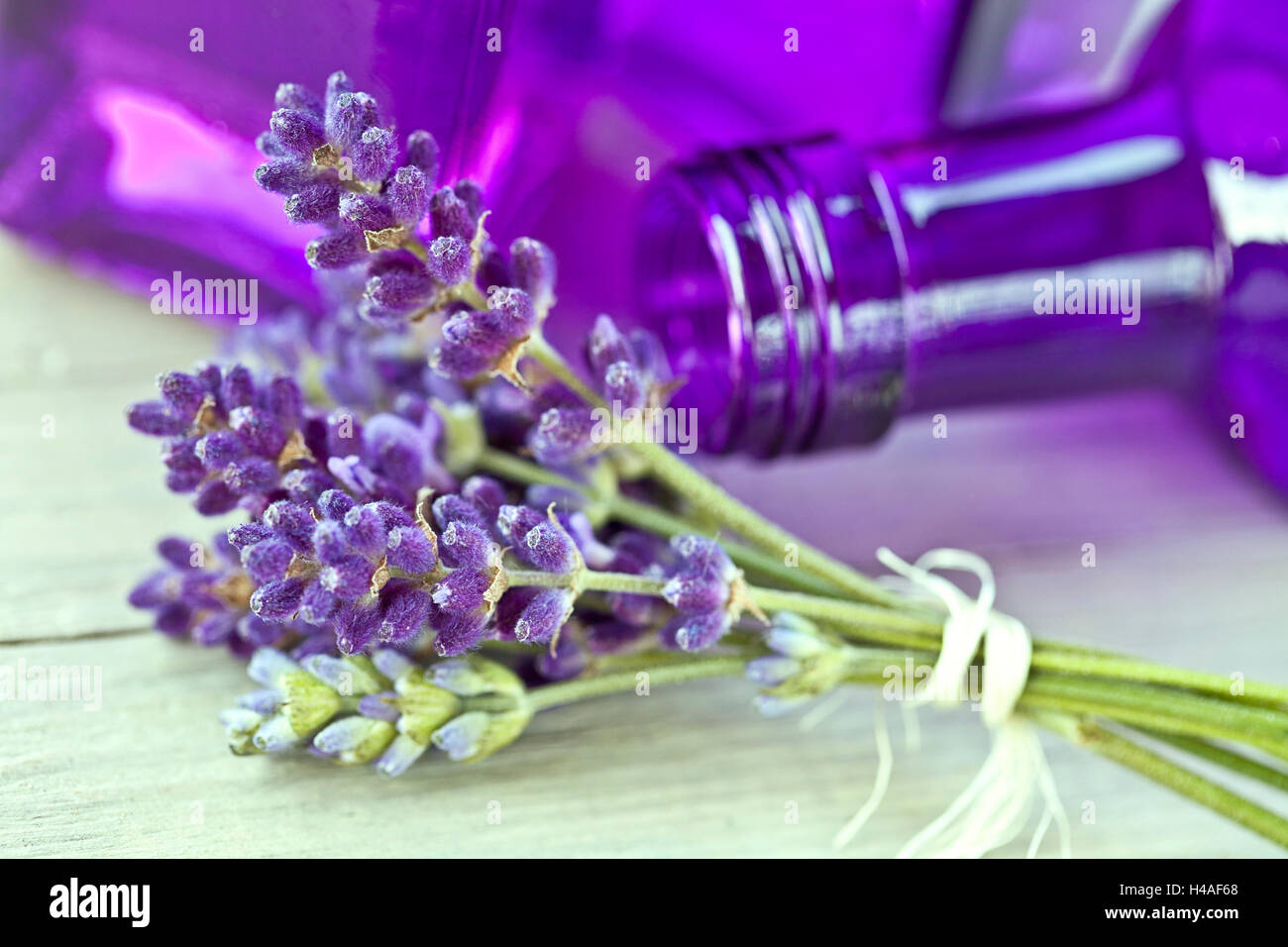Lavender smell hi-res stock photography and images - Alamy