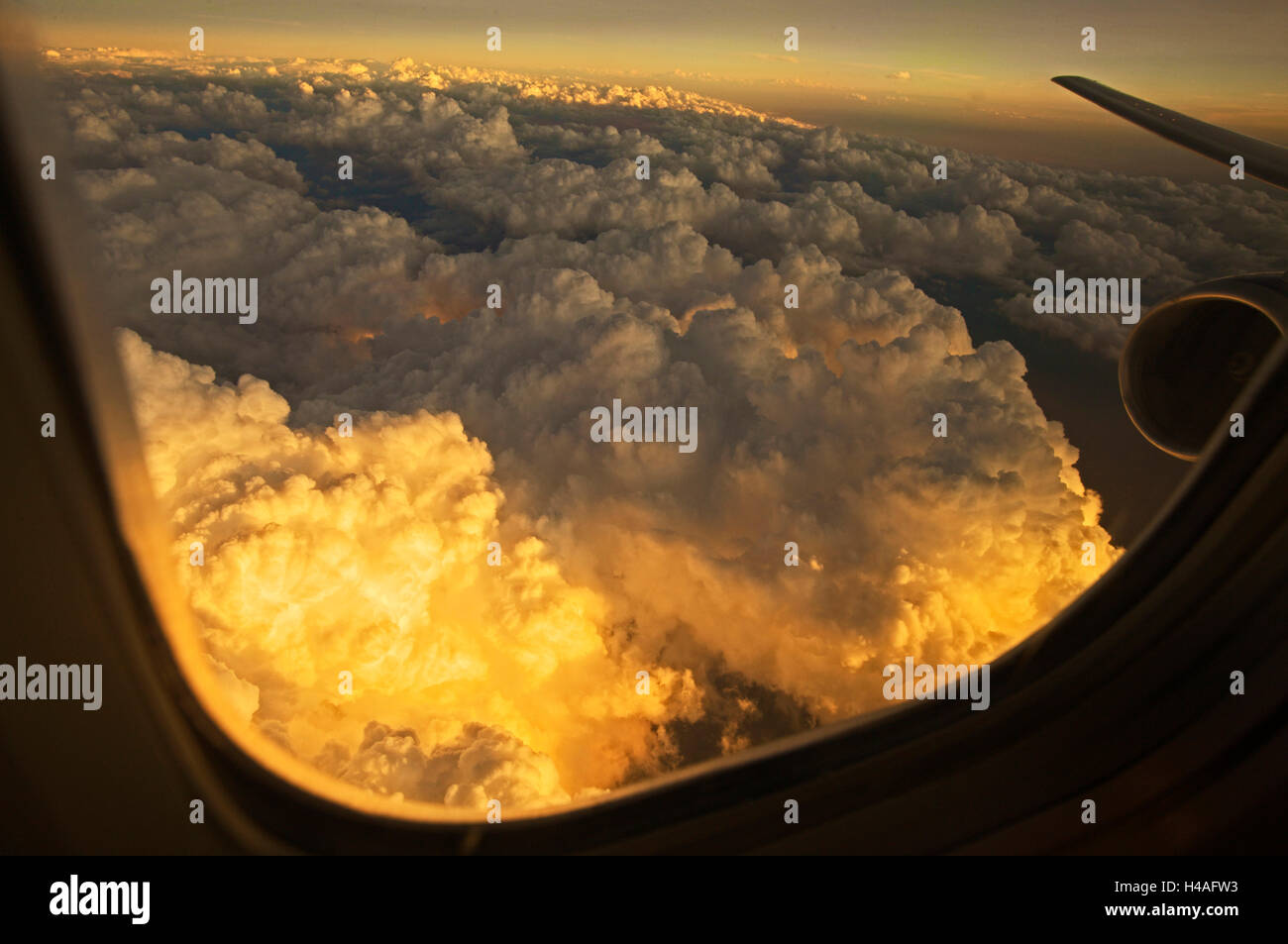 view from airplane window, Condor, aerial view, airplane Stock Photo ...