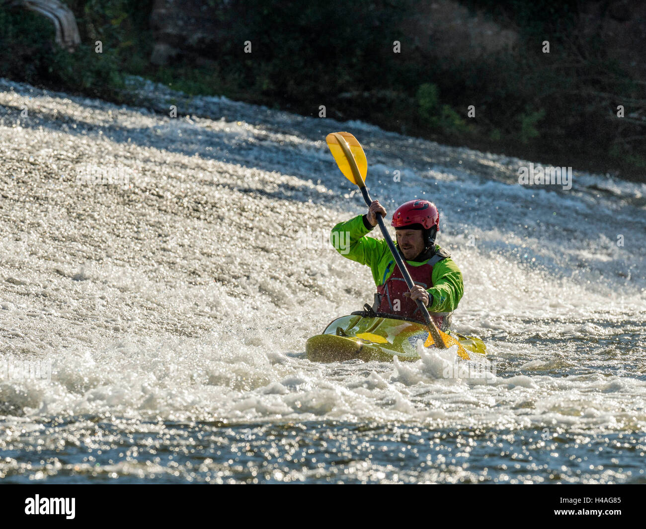 Male adult White Water Kayaking along a River Exe Weir on a bright ...