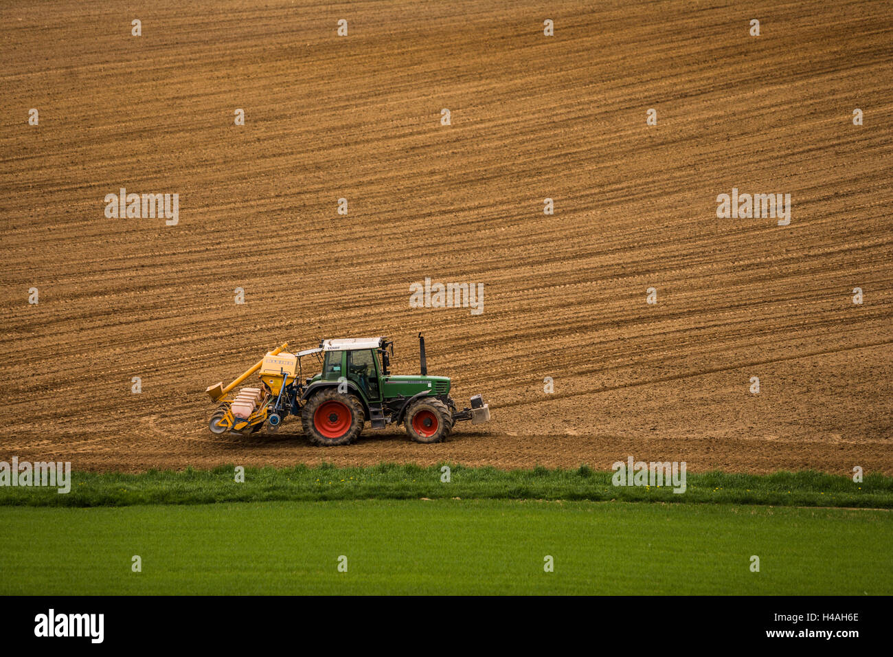 Eggenfelden, Germany, Bavaria, tractor on field with sowing machine ...
