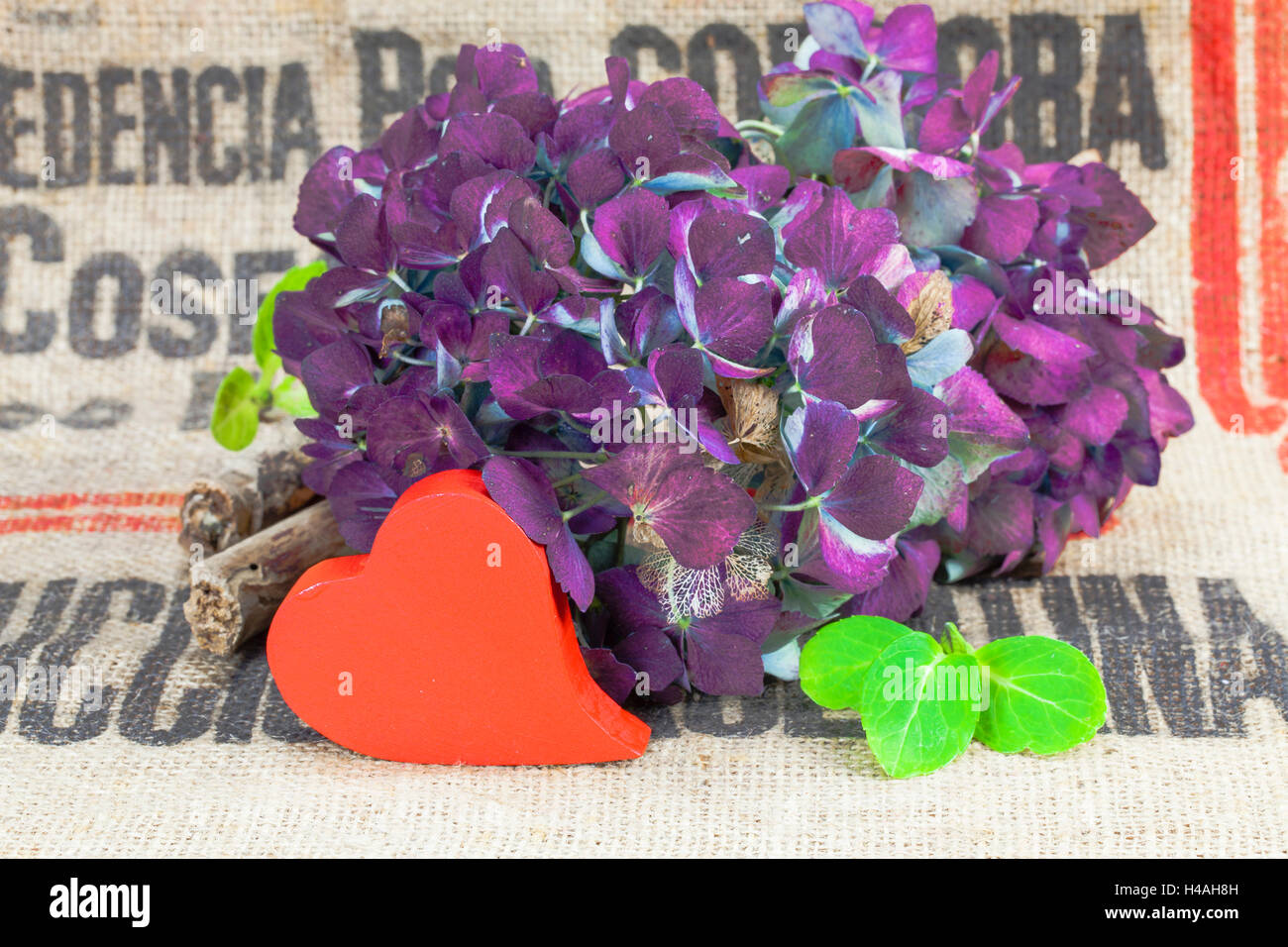 Love in pawn hi-res stock photography and images - Alamy