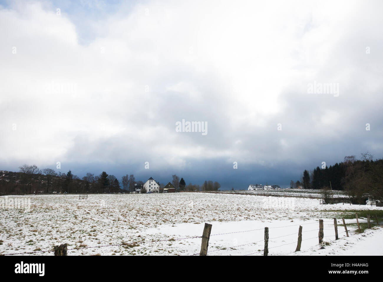 Pasture in winter with snow and houses at the horizon Stock Photo - Alamy