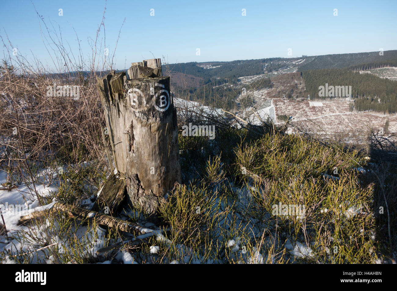 Bestwig panorama path Sauerland Stock Photo - Alamy