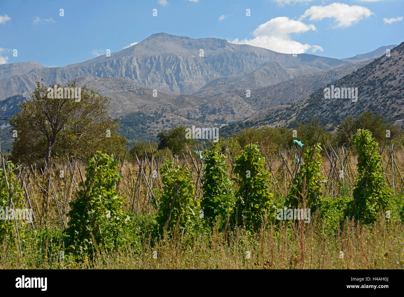 Crete, Lassithi plateau Stock Photo - Alamy