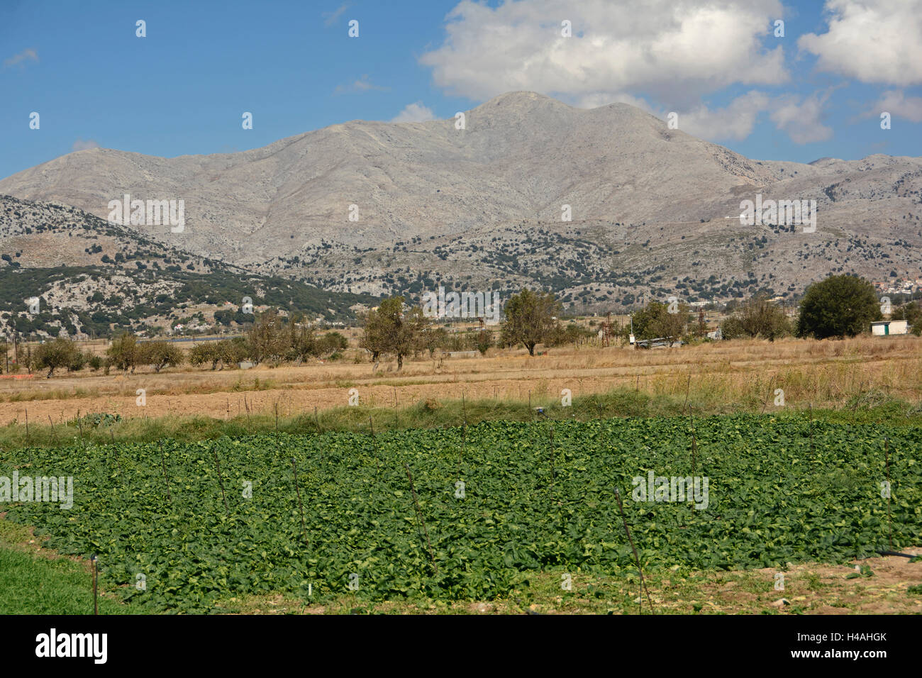 Crete, Lassithi plateau Stock Photo - Alamy