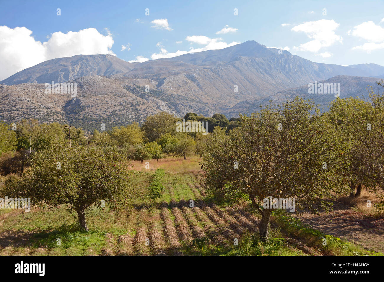Crete, Lassithi plateau Stock Photo - Alamy