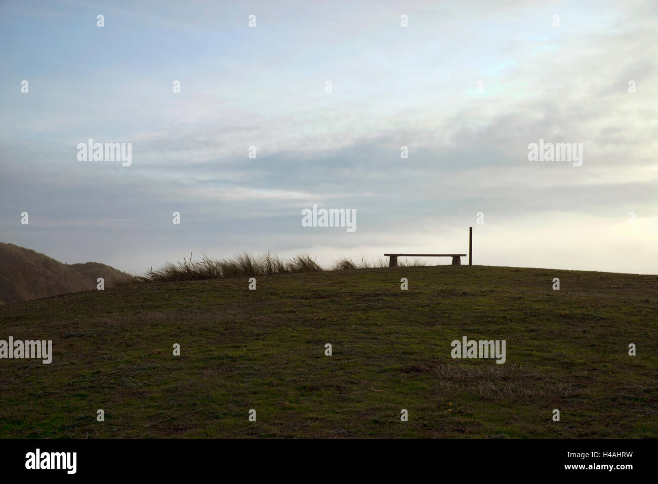 Inviting park bench hi-res stock photography and images - Alamy