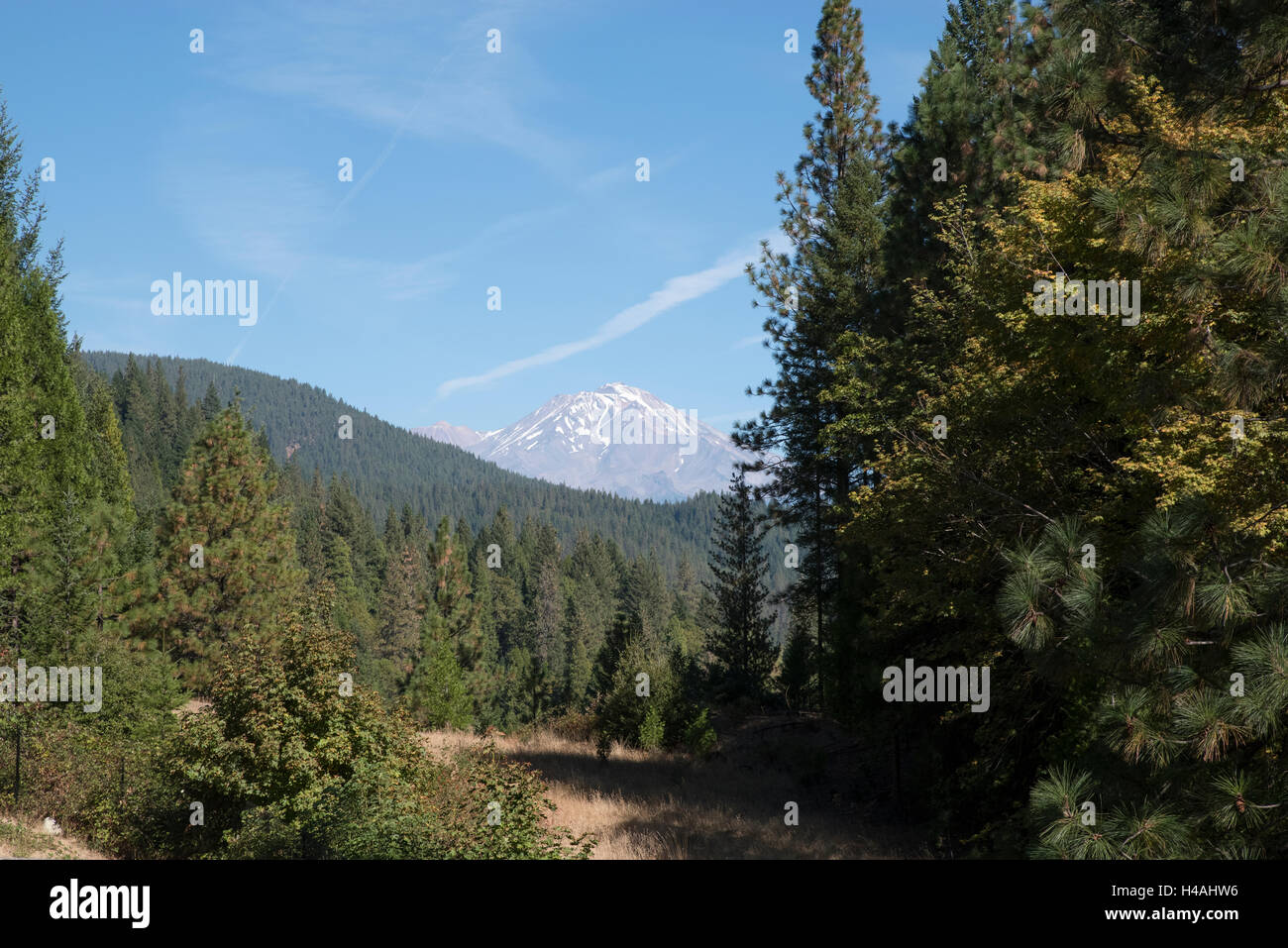 Mt shasta forest hi-res stock photography and images - Alamy