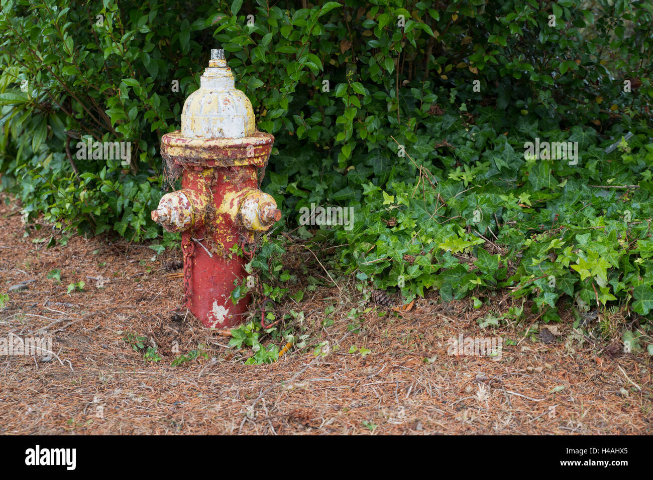 Old, weathered fire hydrant Stock Photo - Alamy