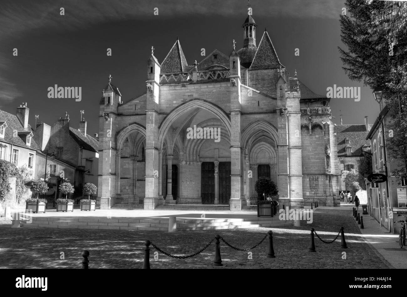 Basilica Notre Dame, Beaune, Burgundy, France, Europe Stock Photo - Alamy