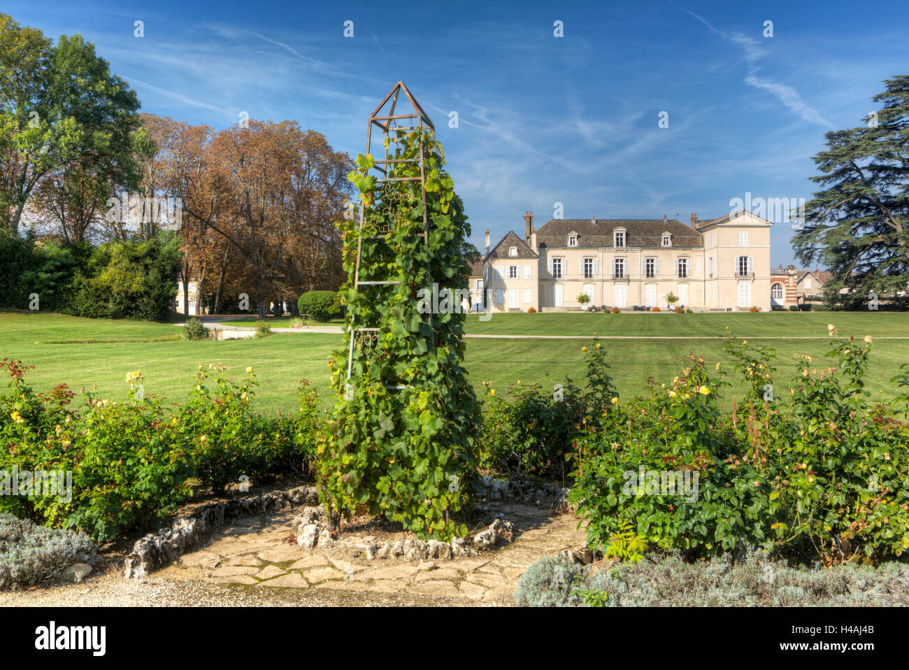 Chateau de Meursault, vineyard, wine route, route of the Grands Crus ...