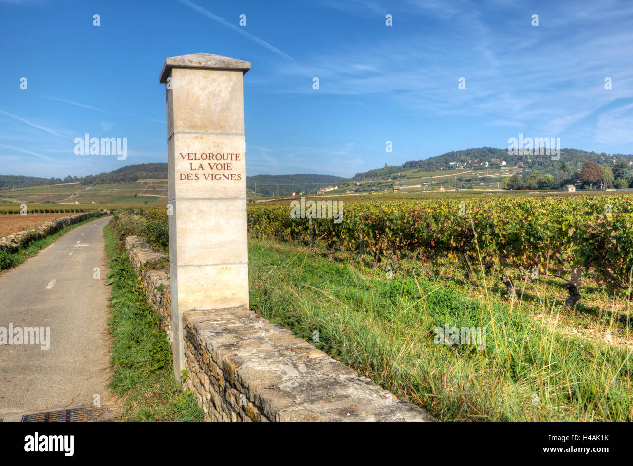 Wine route, route of the Grands Crus, Beaune, Burgundy, France, Europe ...