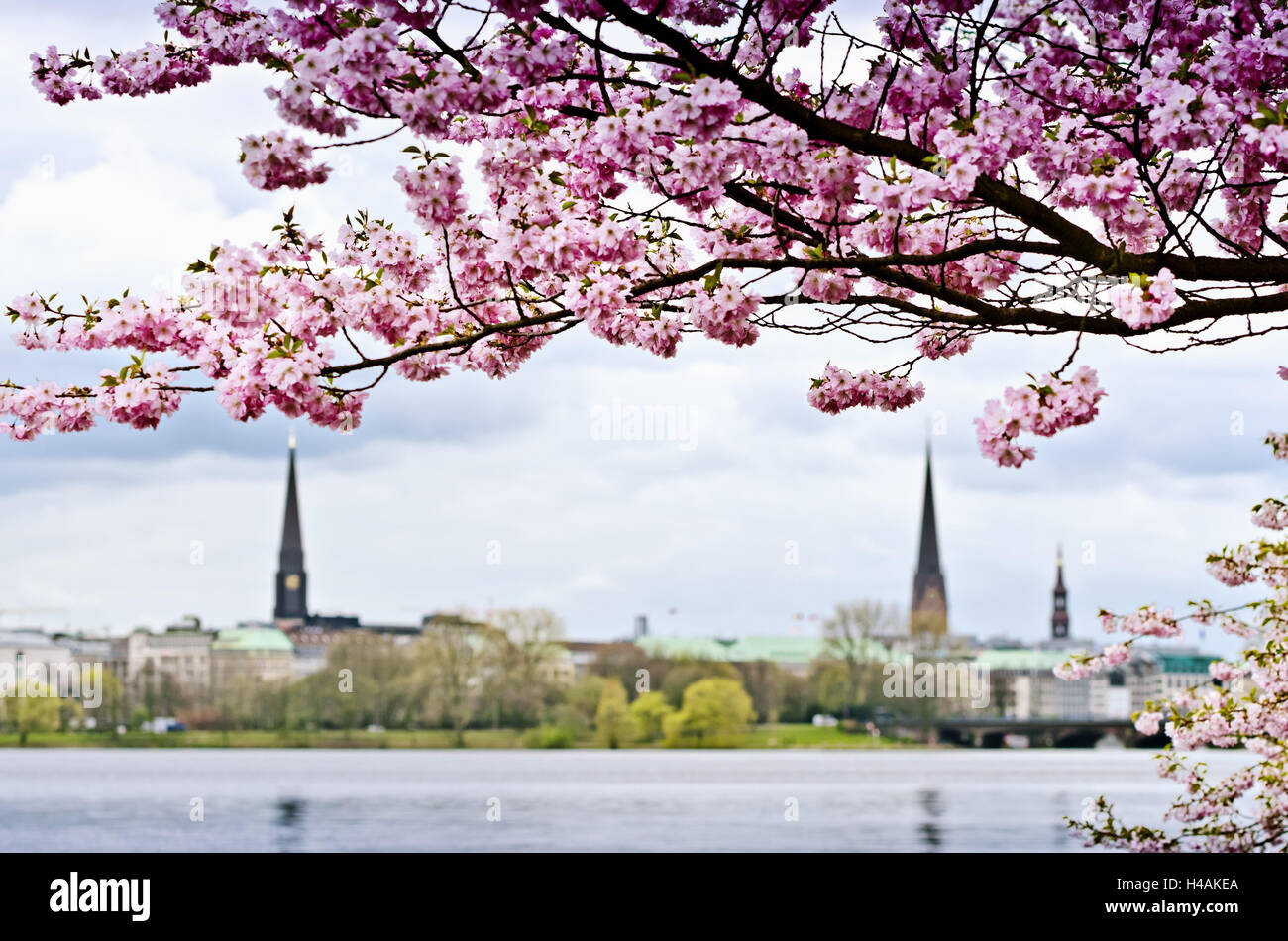 Germany, Hamburg, city centre, the Alster, the Outer Alster lake ...